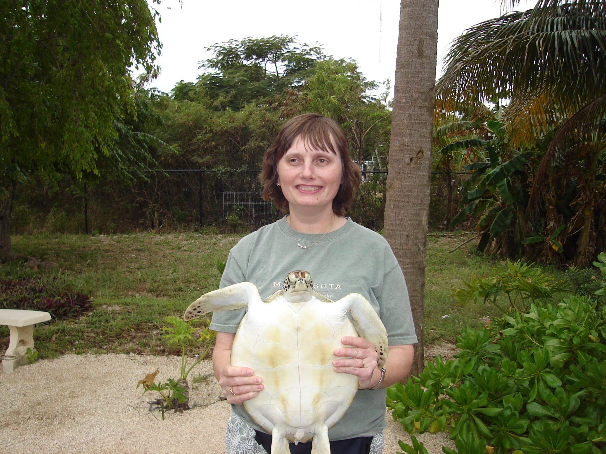 Bess A. Storla - Rochester Cremation Services